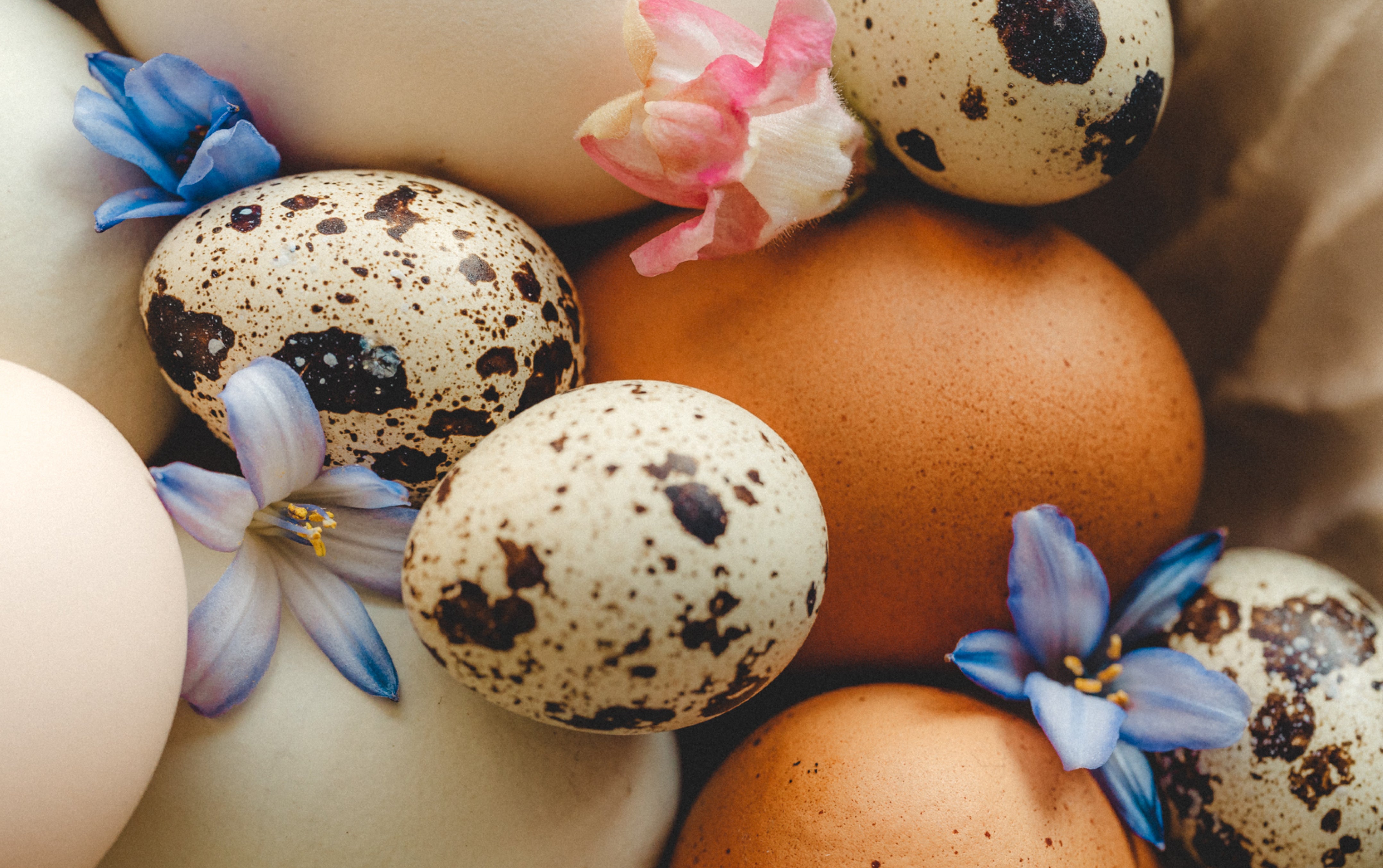 SUITSUIT RECOMMENDS | 6x fun things to do during Easter – SUITSUIT ...